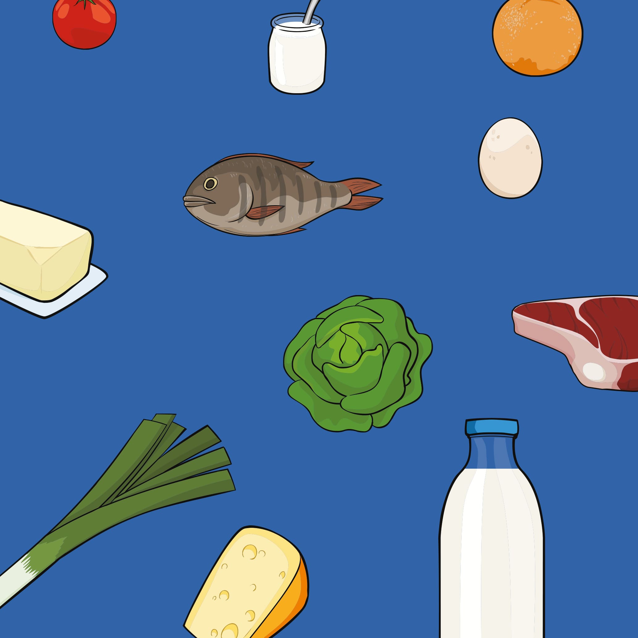 Découvrez les méthodes de conservation des aliments - MAMP