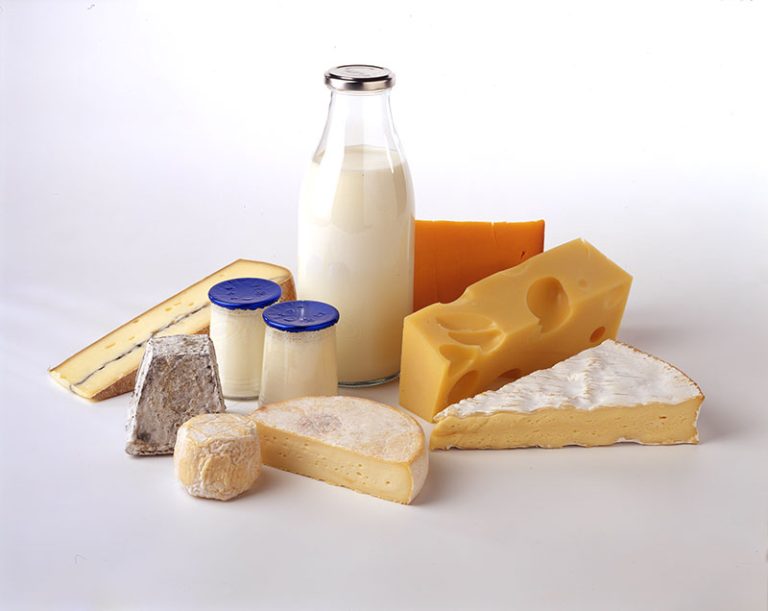 Familles d'aliments : pour une alimentation équilibrée - MAMP